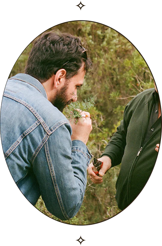 Unveiling the Art of Hierbas: A Time-Honored Spanish Tradition - BASBAS